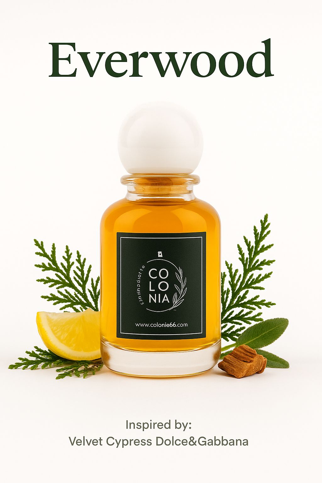 Everwood (Inspired by Velvet Cypress Dolce&Gabbana) – Colonia-eg